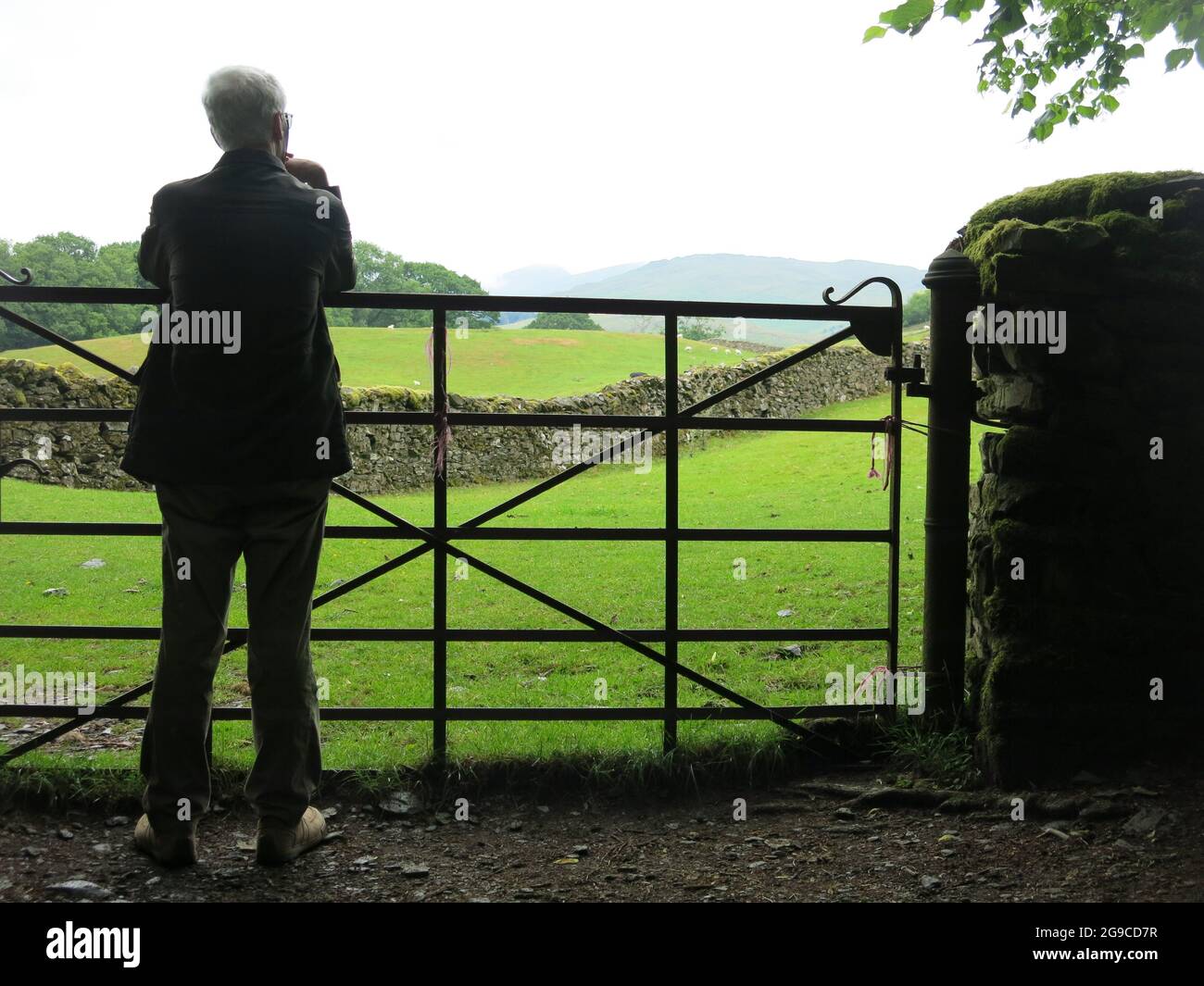 Rear view of a tall, older man in quiet contemplation leaning on a ...