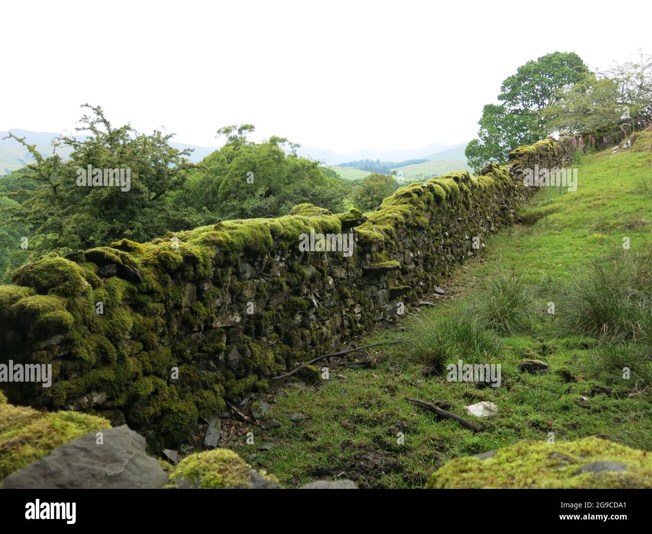 Orrest head summit hi-res stock photography and images - Alamy