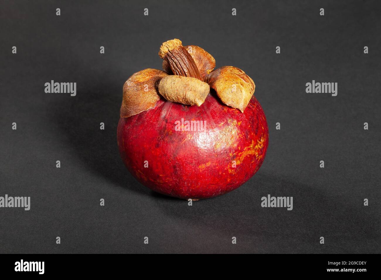 single mangosteen on black background Stock Photo - Alamy