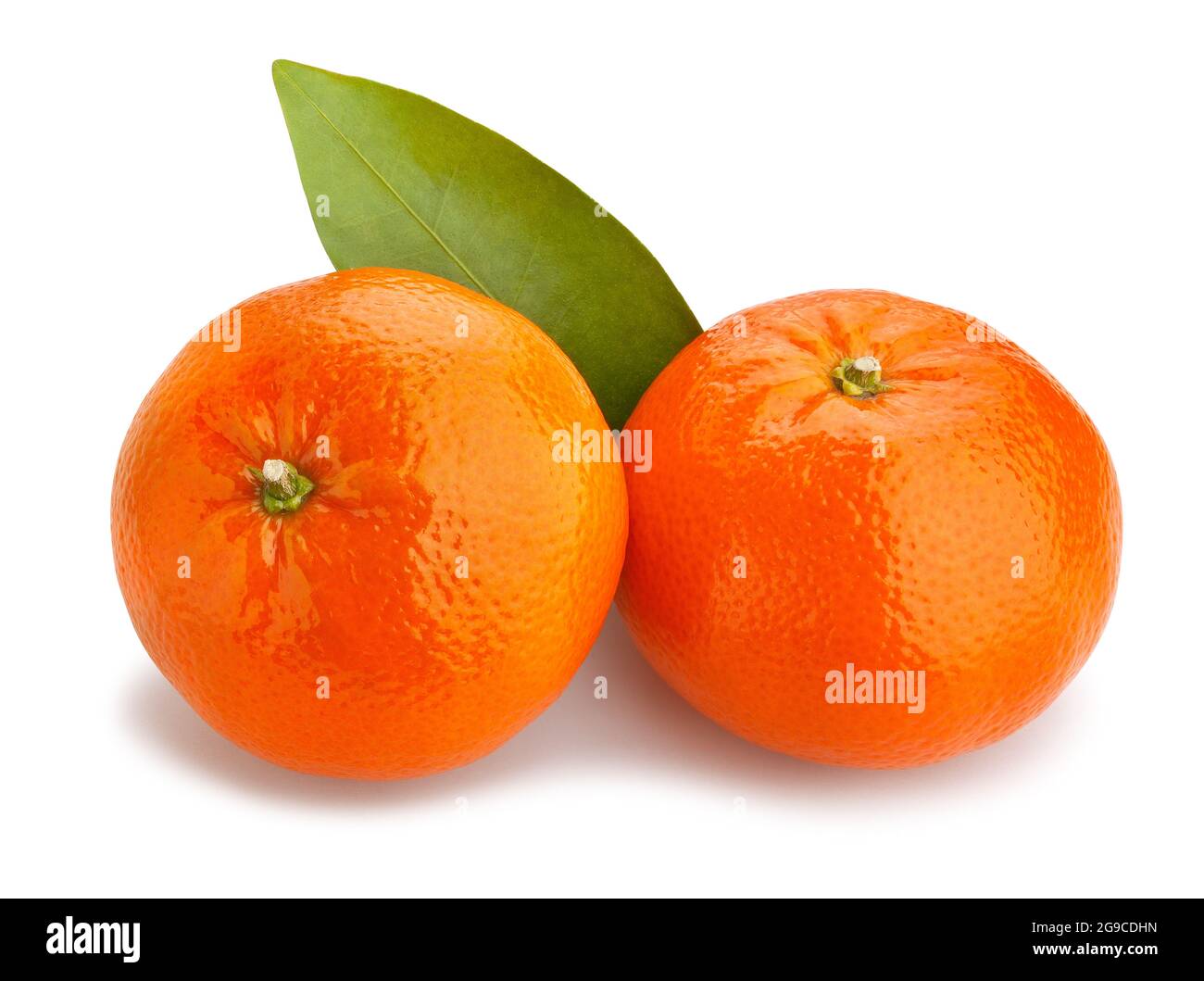 Two fresh ripe tangerines Cut Out Stock Images & Pictures - Alamy