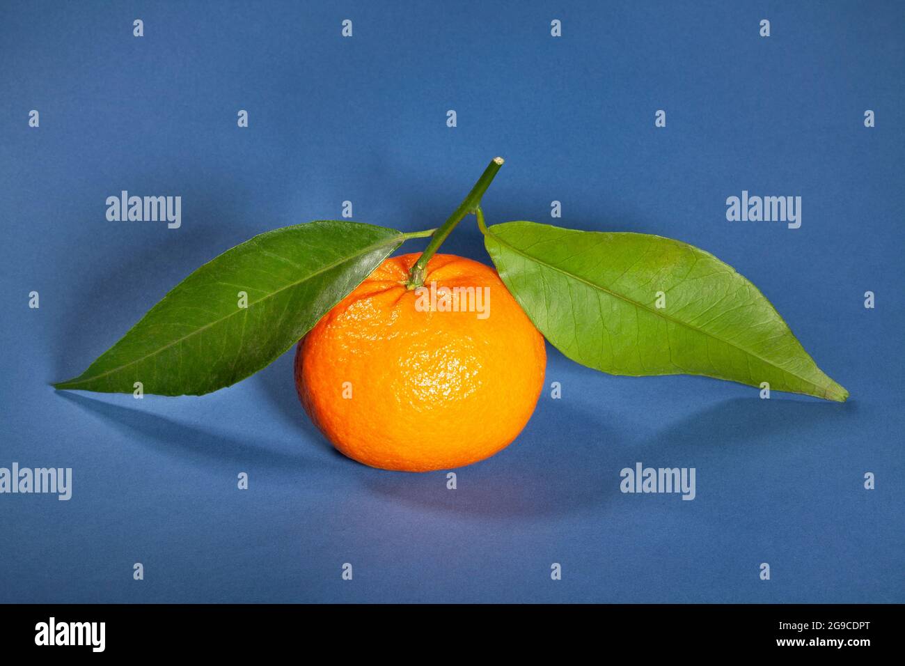 Blue green leaf background hi-res stock photography and images - Alamy