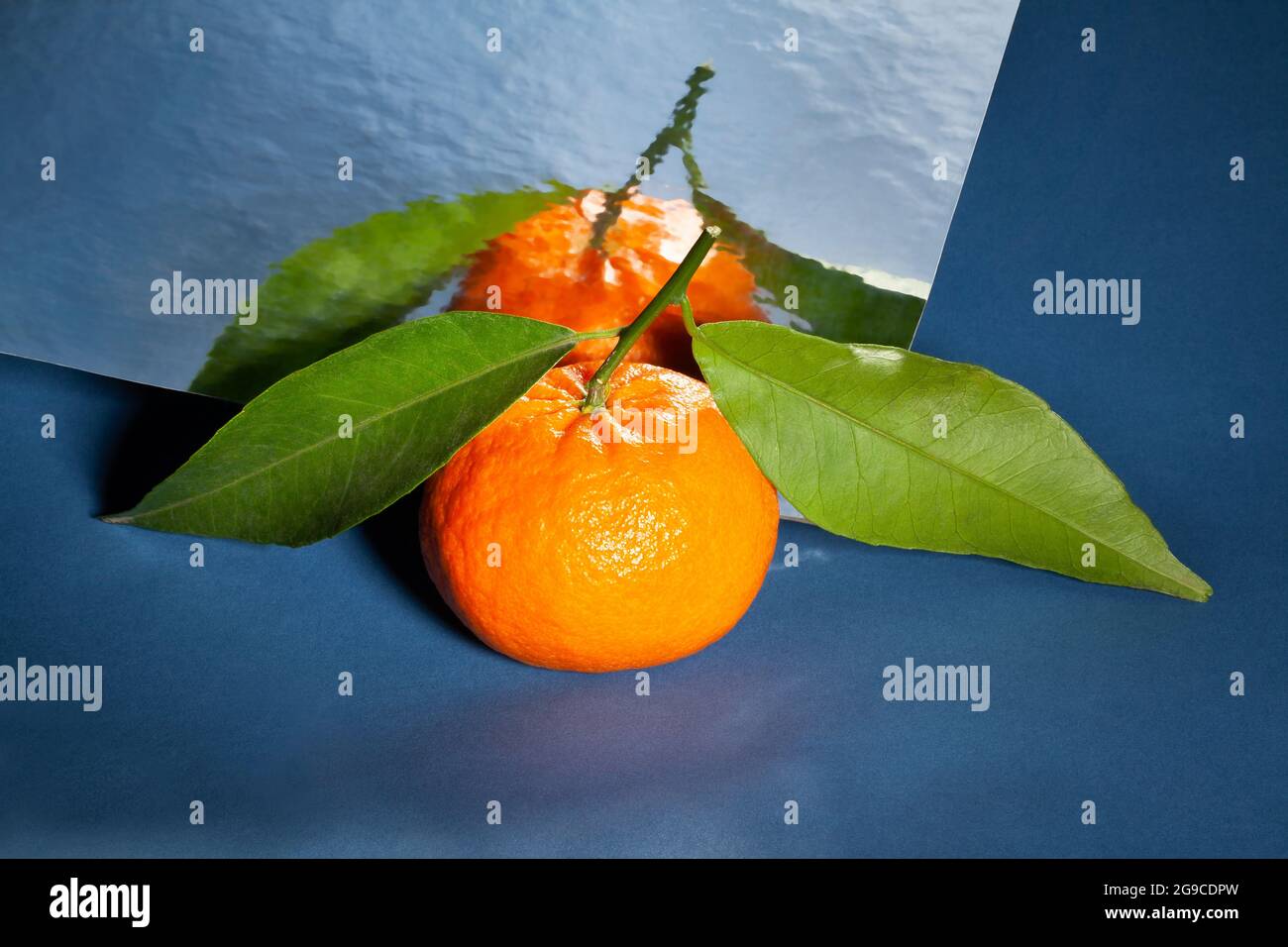 Blue background leaves hi-res stock photography and images - Alamy