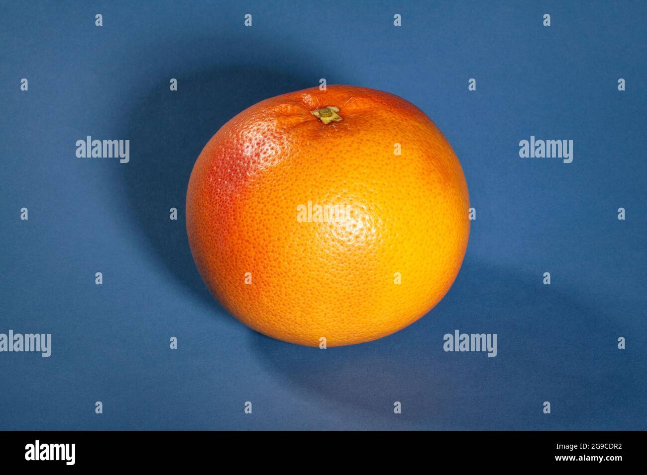 single grapefruit on blue background Stock Photo - Alamy