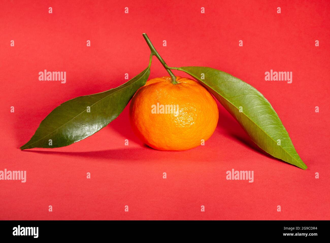 One tangerine green leaf hi-res stock photography and images - Alamy
