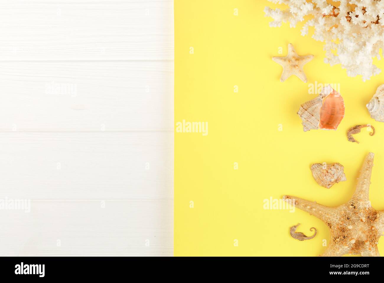 Beachwear and clam souvenirs banner Stock Photo - Alamy