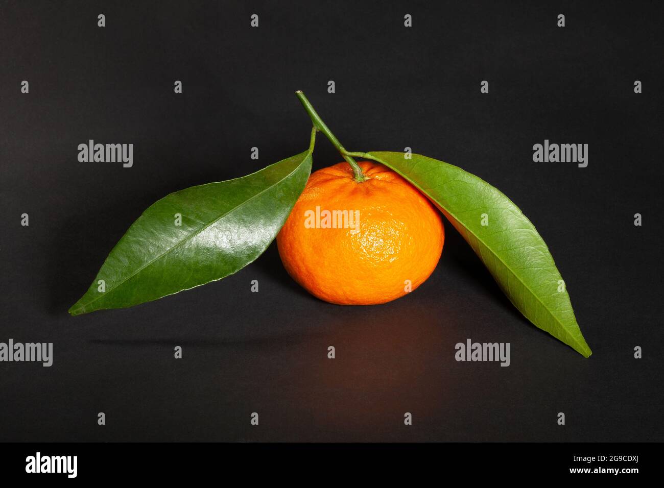 Single tangerine on black hi-res stock photography and images - Alamy