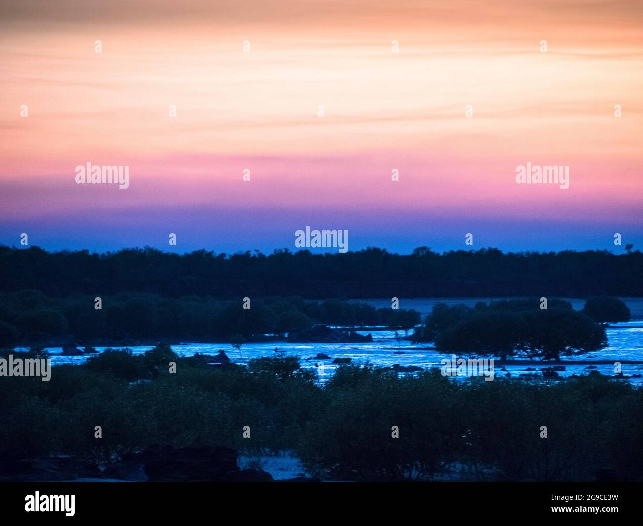 Mangroves broome mangrove hi-res stock photography and images - Alamy