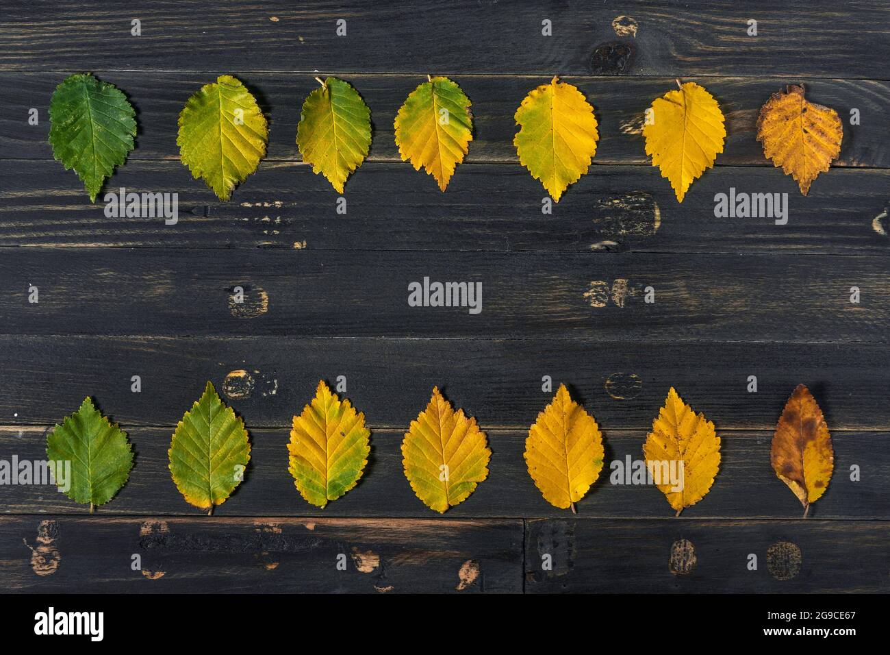 Graduated background hi-res stock photography and images - Alamy