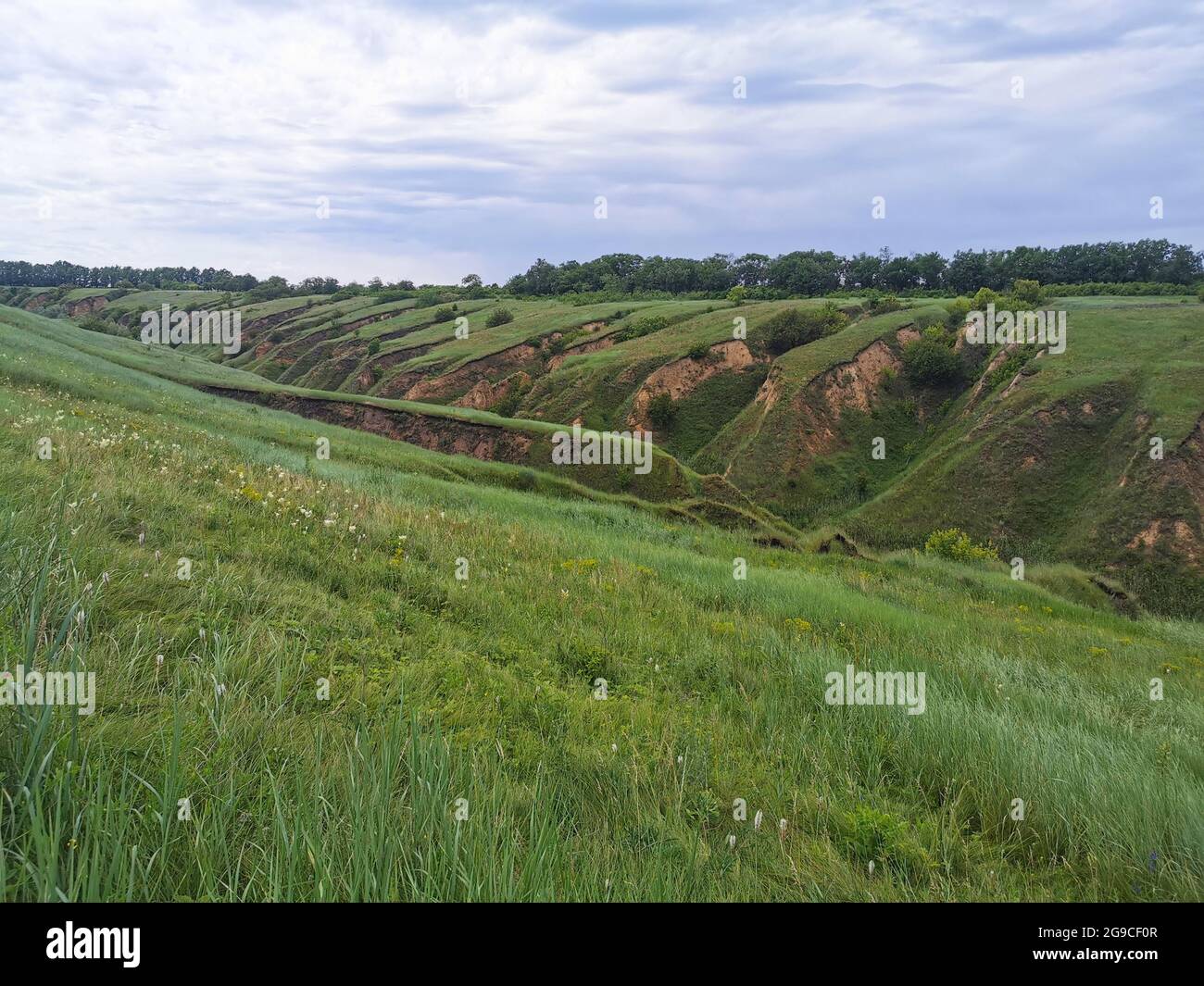 A deep clay ravine formed by erosion by a water stream. Soil erosion ...