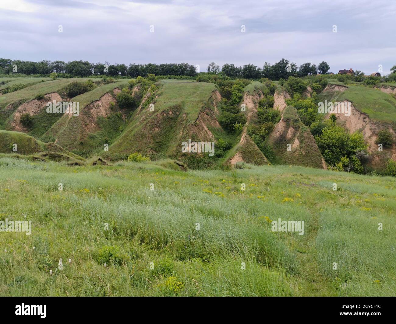 A deep clay ravine formed by erosion by a water stream. Soil erosion ...