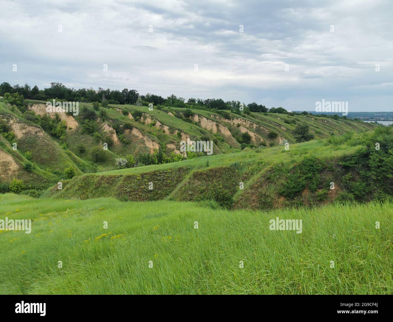 A deep clay ravine formed by erosion by a water stream. Soil erosion ...