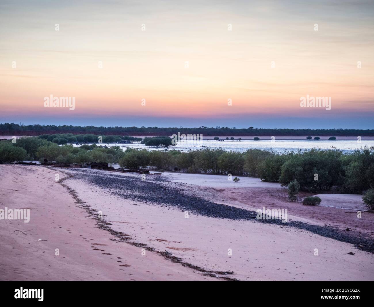 Mangroves broome mangrove hi-res stock photography and images - Alamy