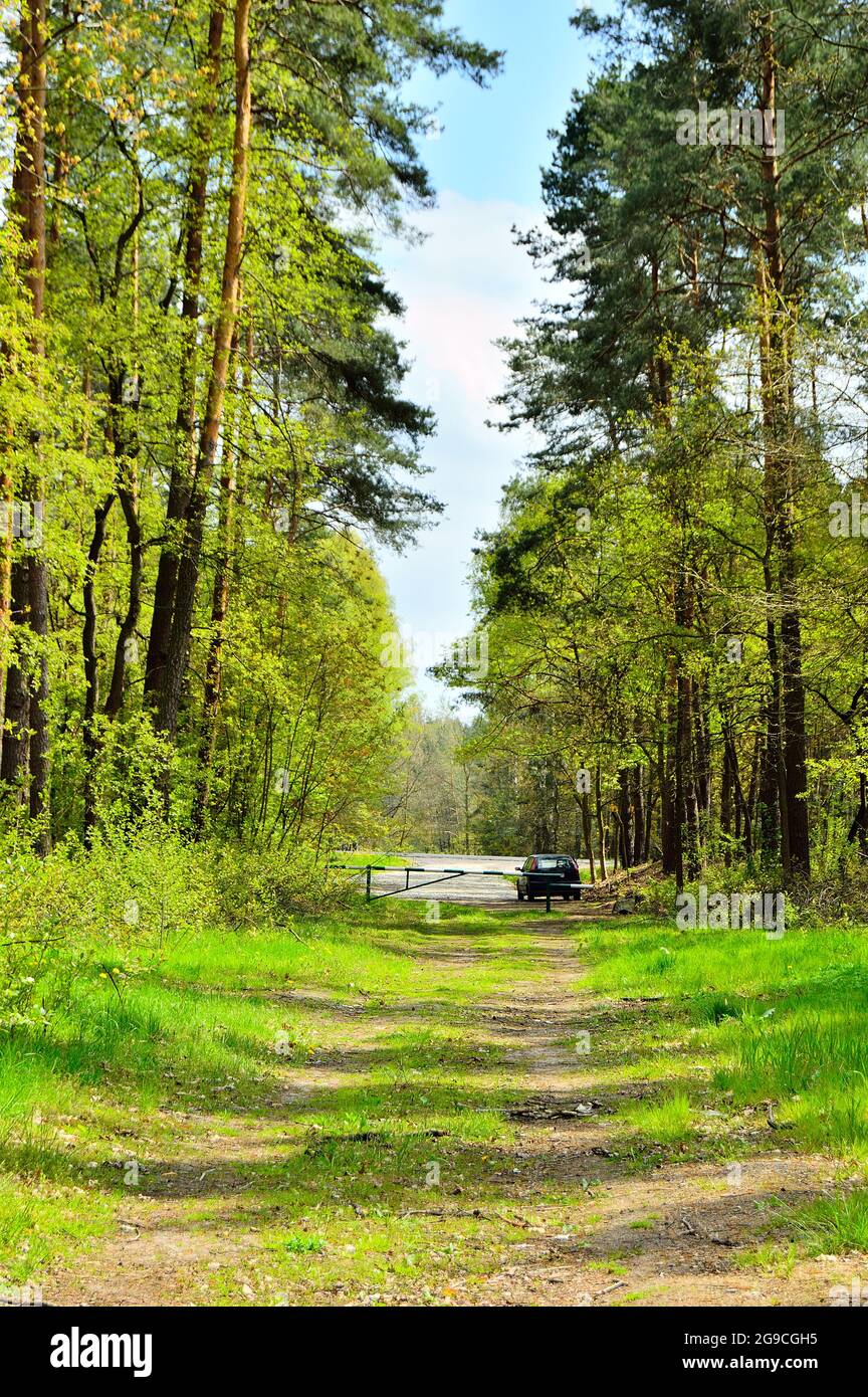 Suburb forest hi-res stock photography and images - Alamy