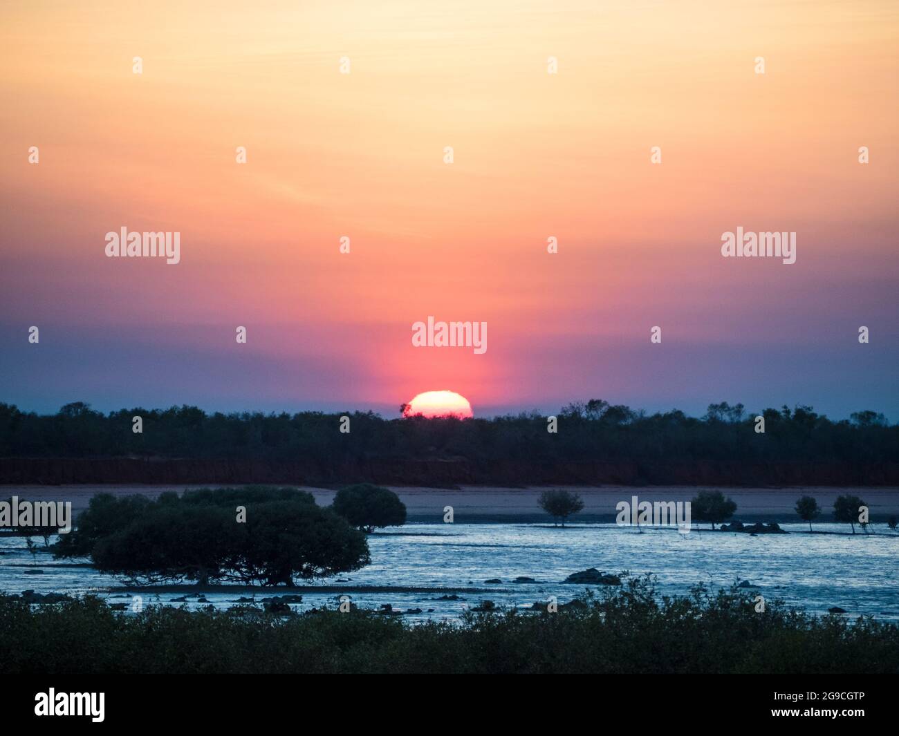 Mangroves broome mangrove hi-res stock photography and images - Alamy