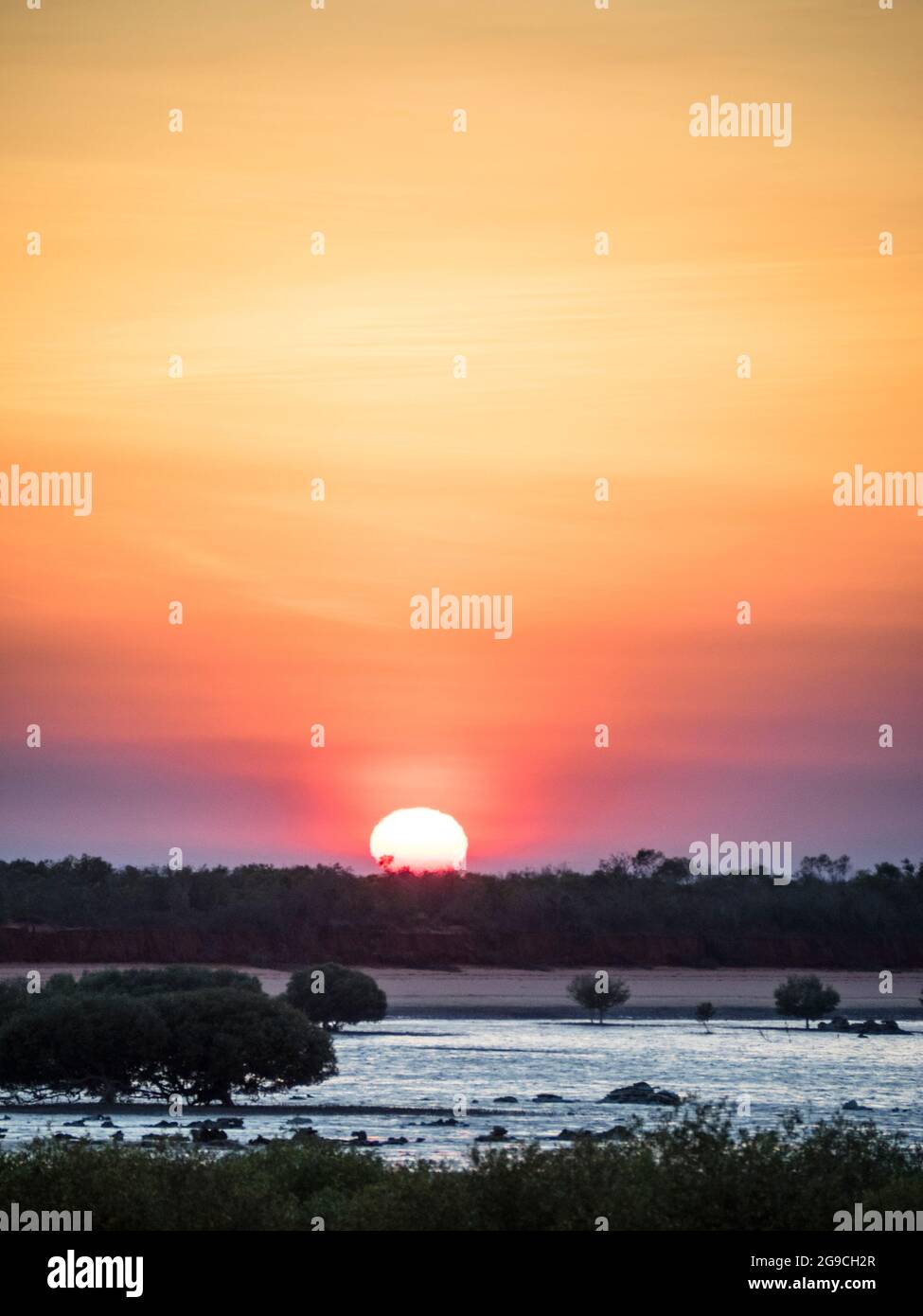 Mangroves broome mangrove hi-res stock photography and images - Alamy