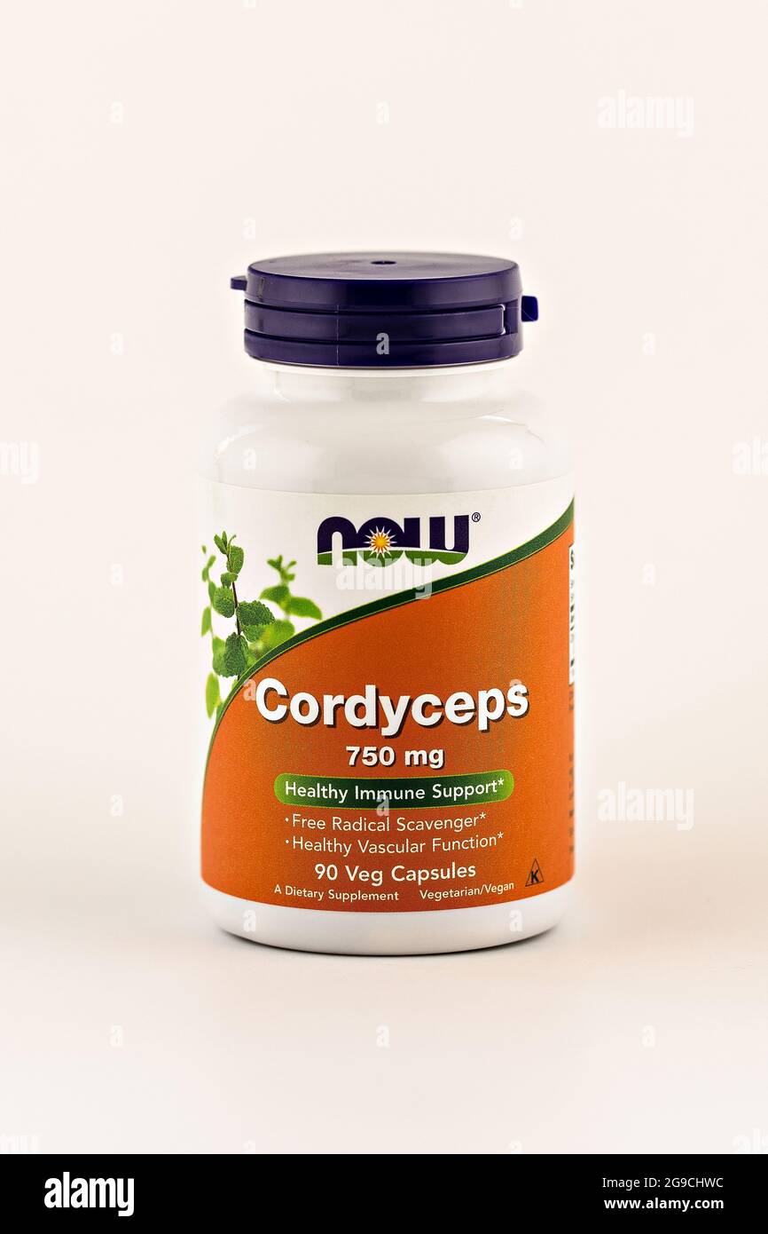 cordyceps capsules in the jar. dietary supplement editorial photo Stock ...