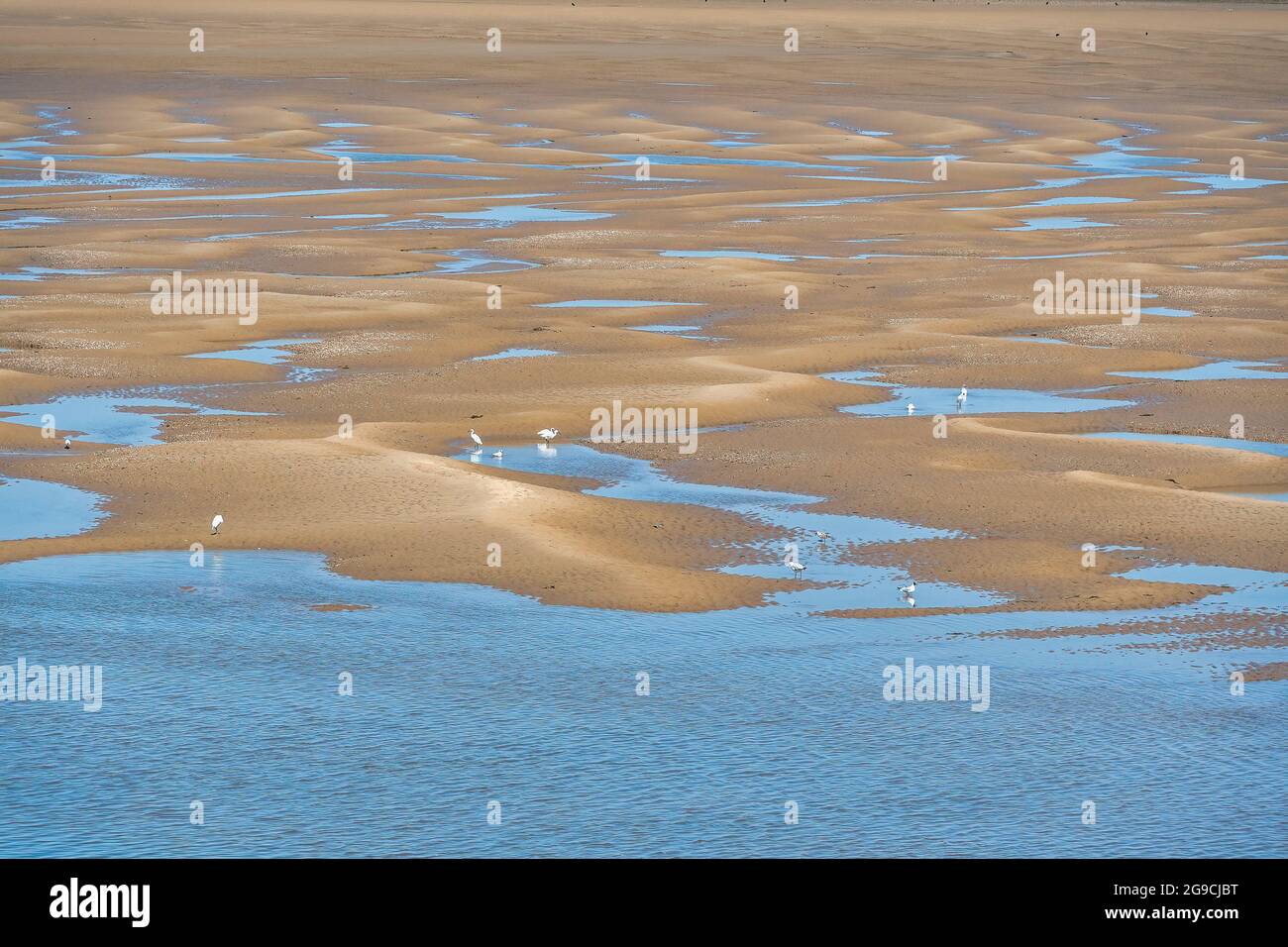 Exposed banks hi-res stock photography and images - Alamy