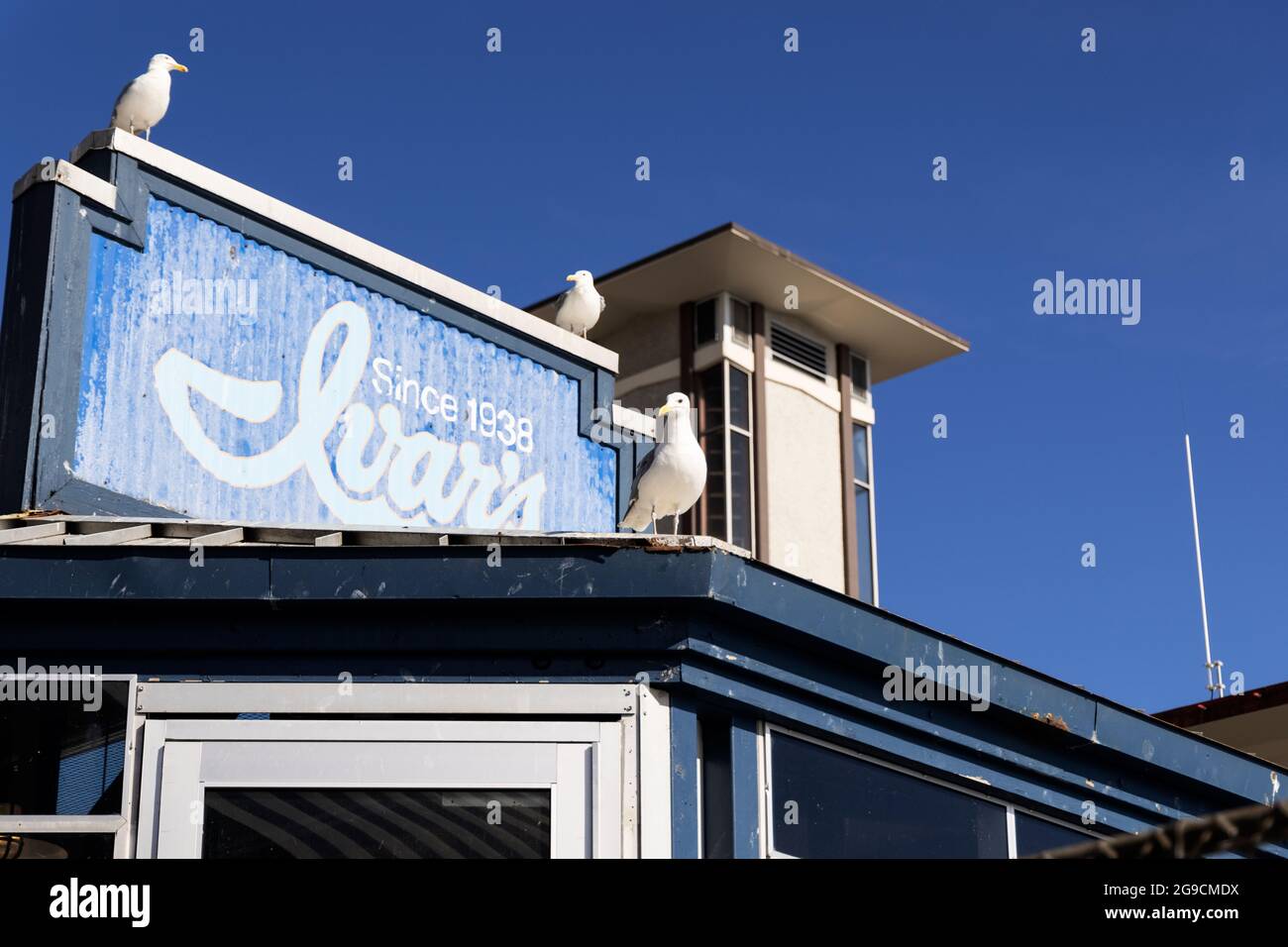 Seagulls atop the sign at Ivar's seafood restaurant on the pier in ...