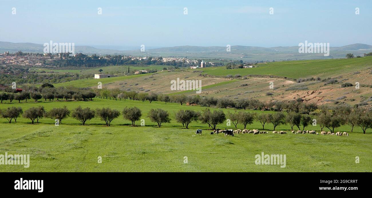 Beautiful natural landscape of Morocco Stock Photo - Alamy