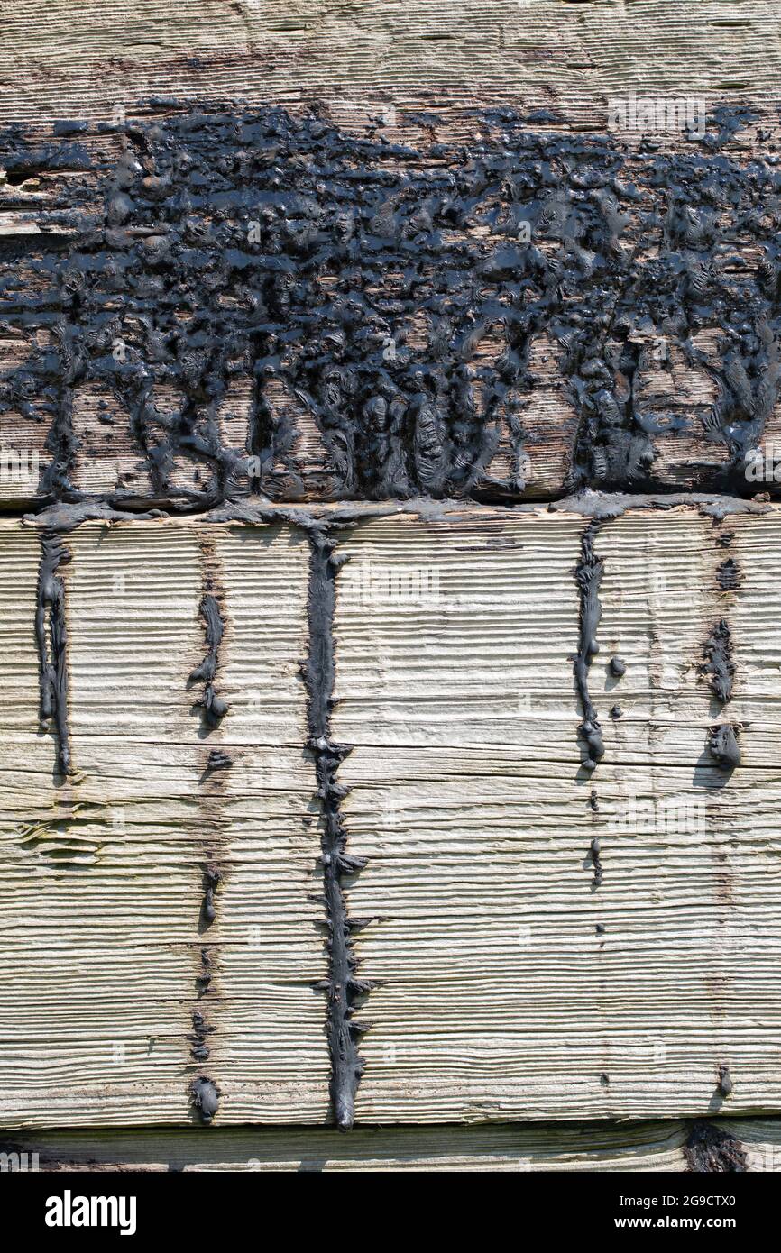 Hardened tar hi-res stock photography and images - Alamy