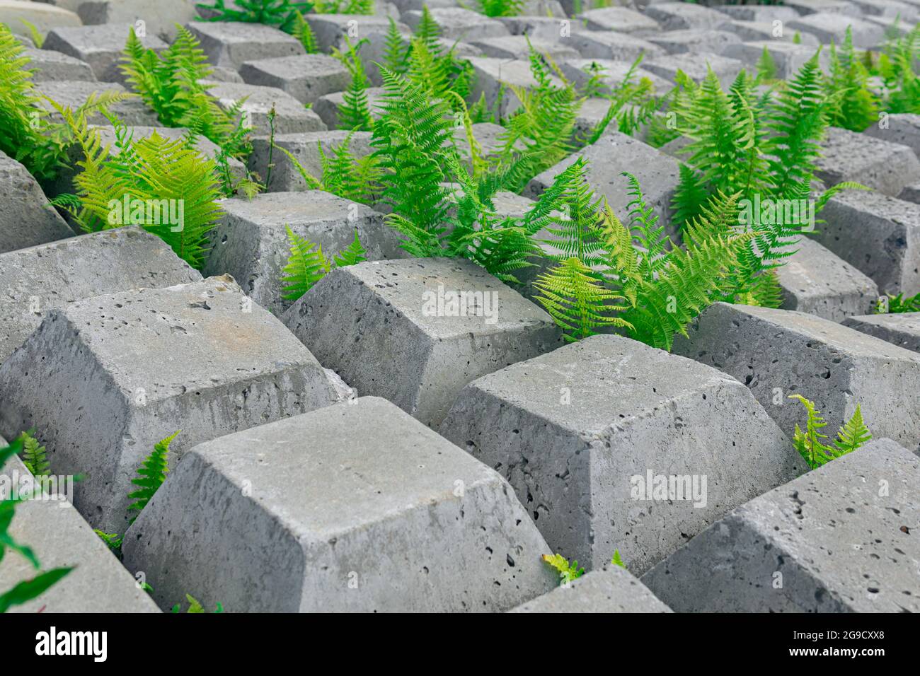 fragment of flexible concrete mat to prevent erosion, laid on the ...