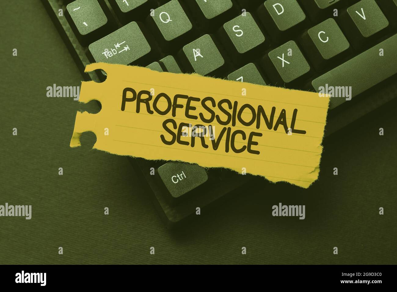 Text caption presenting Professional Service. Business showcase ...