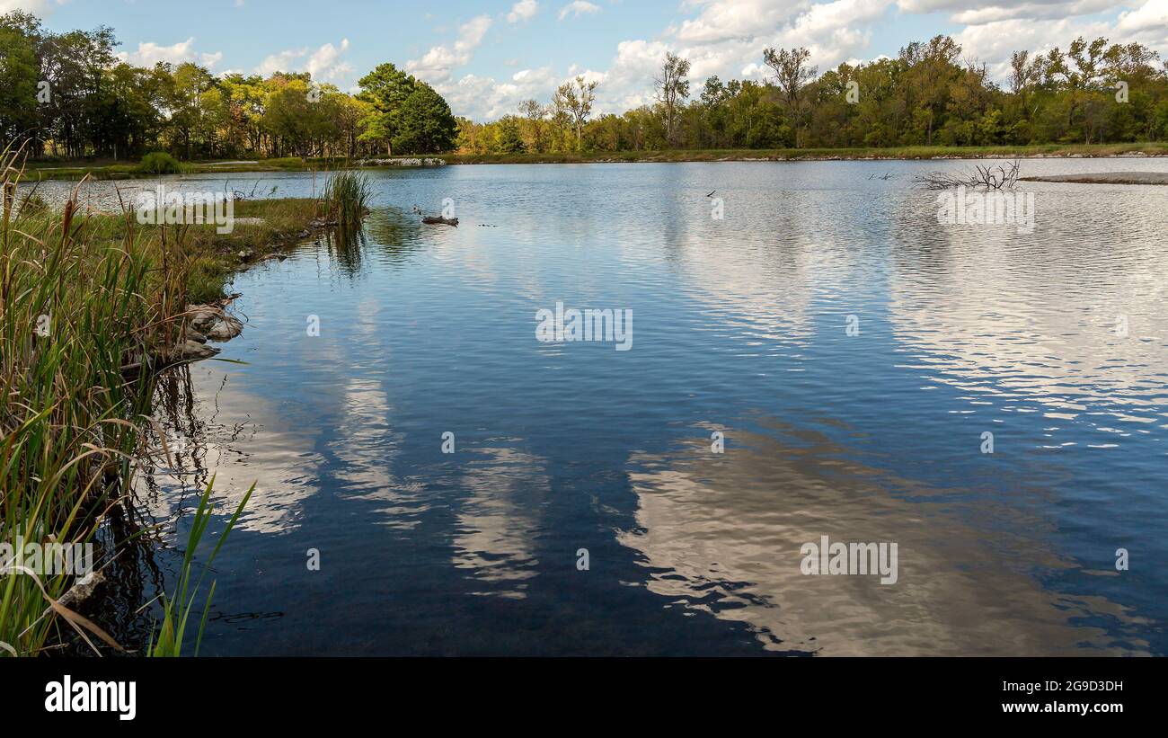 Wetlands conservation hi-res stock photography and images - Alamy