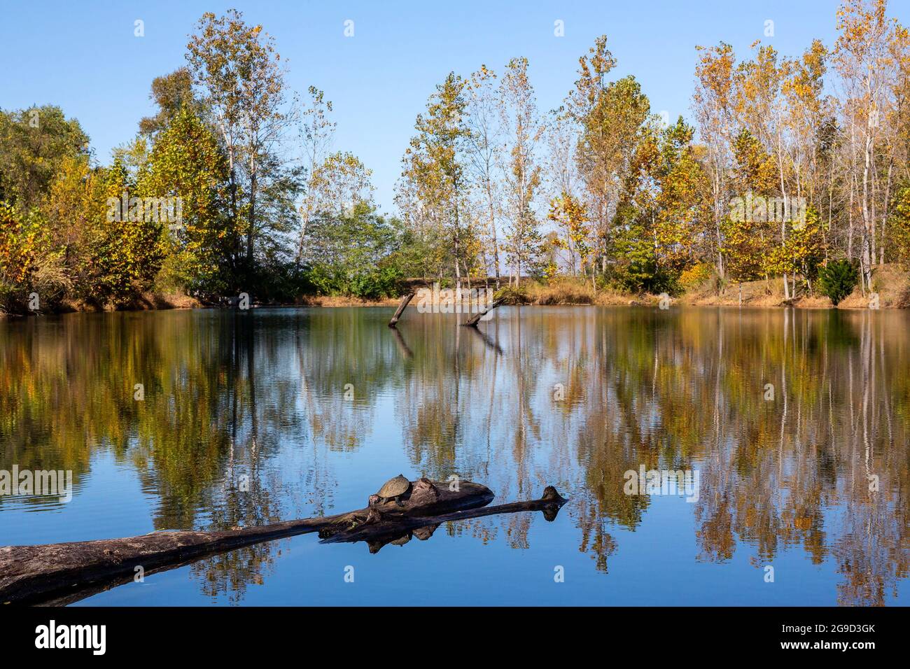 Scenic landscape of a wetlands conservation area near St. Charles, MO ...