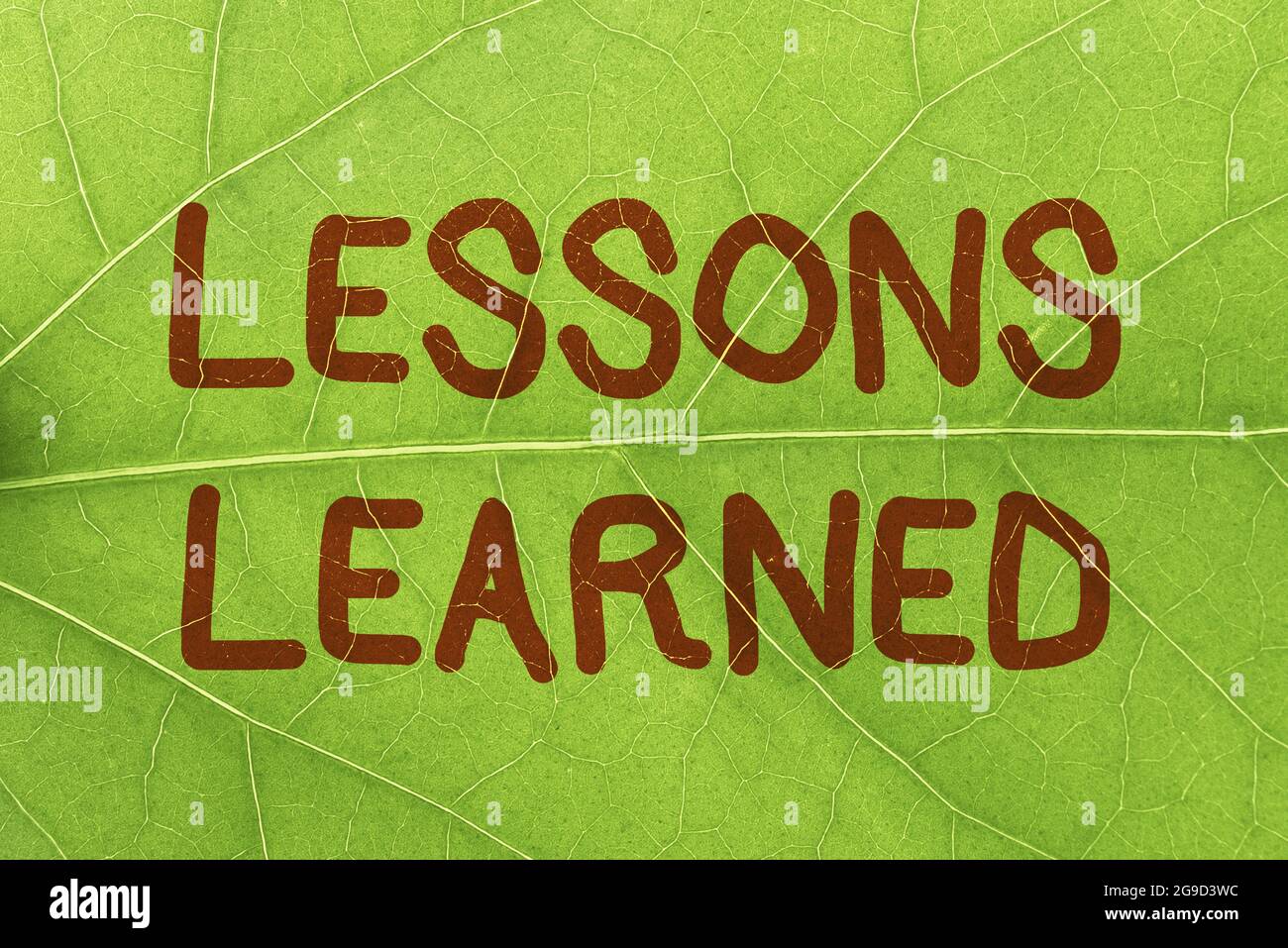 Writing displaying text Lessons Learned. Conceptual photo the knowledge ...