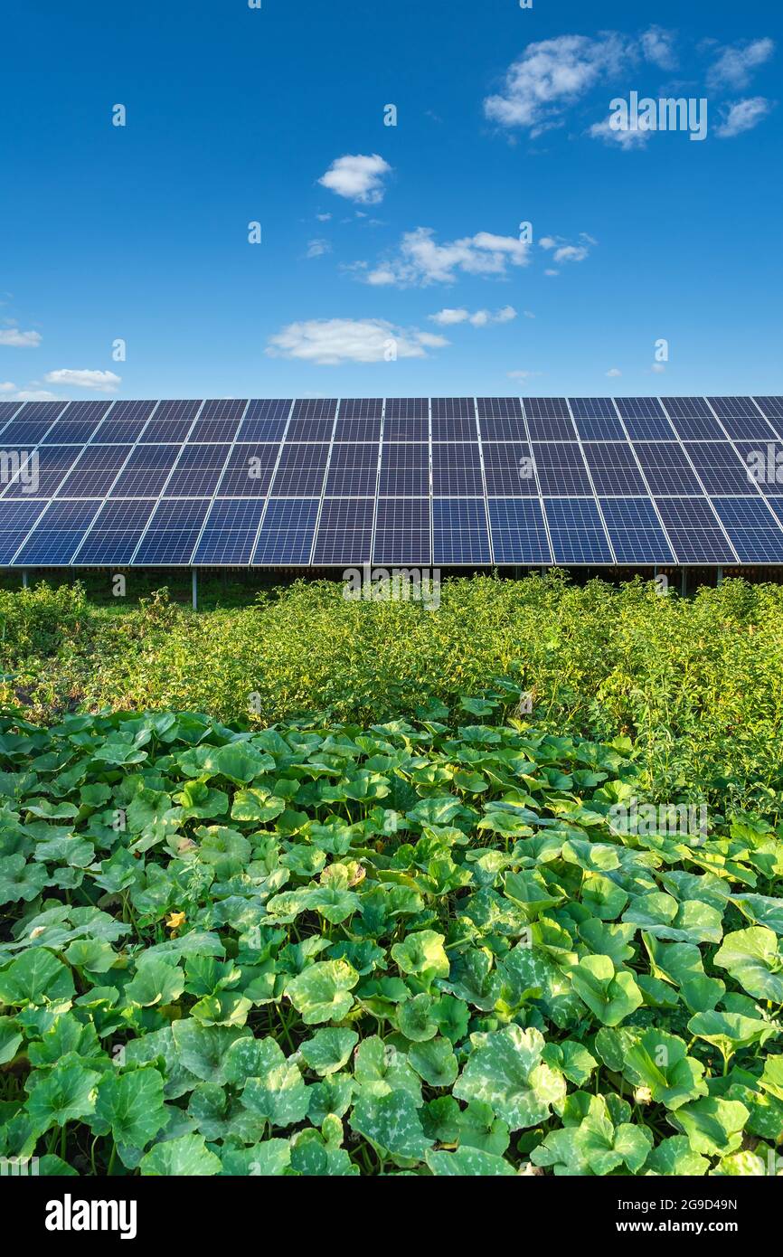 Back Yard Solar System