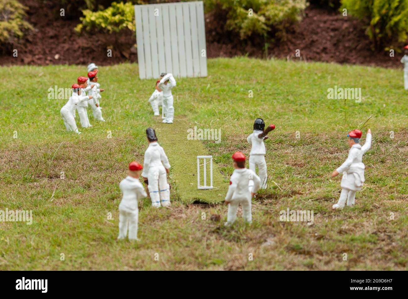 Miniature cricket hi-res stock photography and images - Alamy