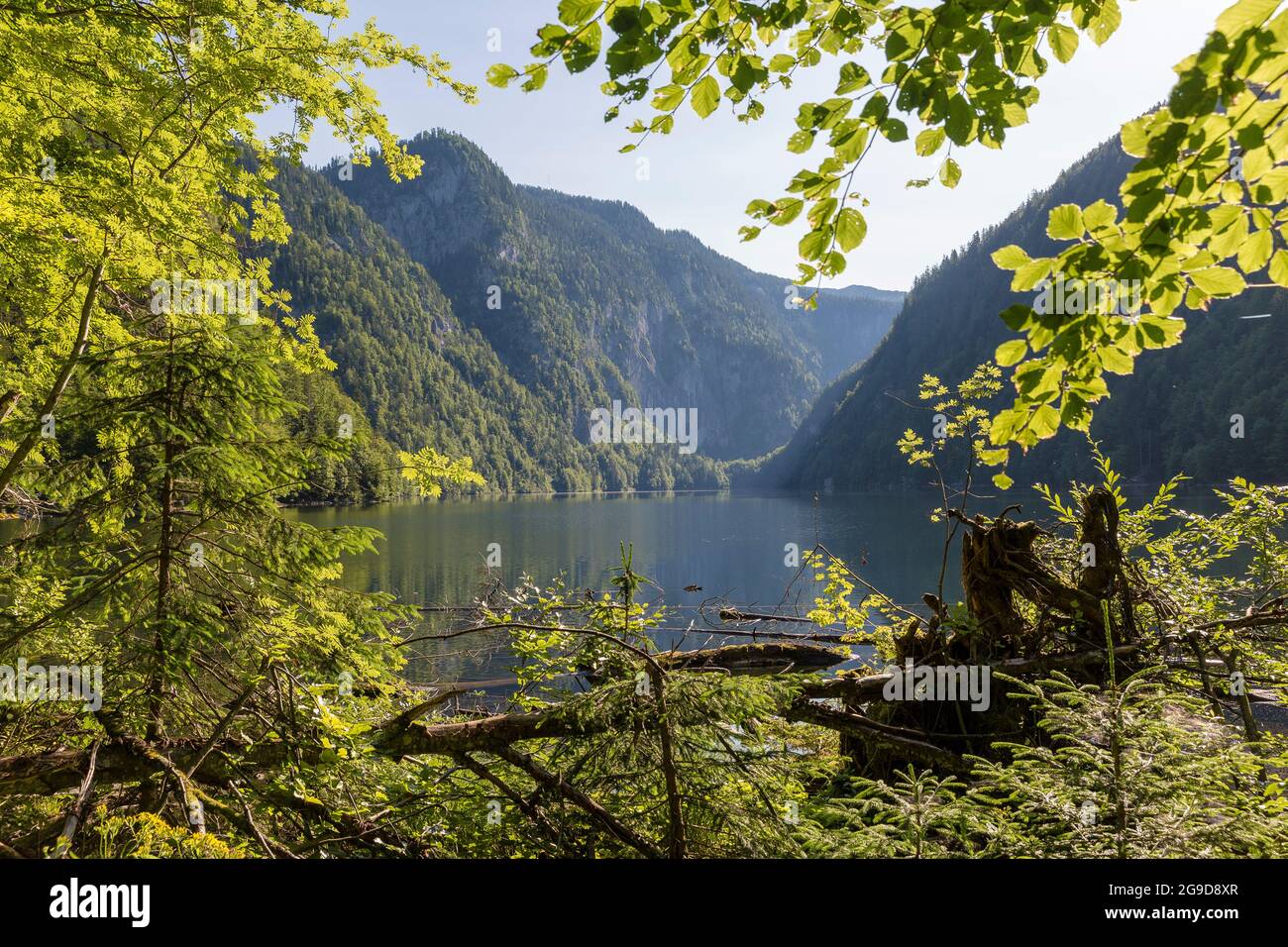 Toplitzsee, Steiermark, Österreich Stock Photo - Alamy