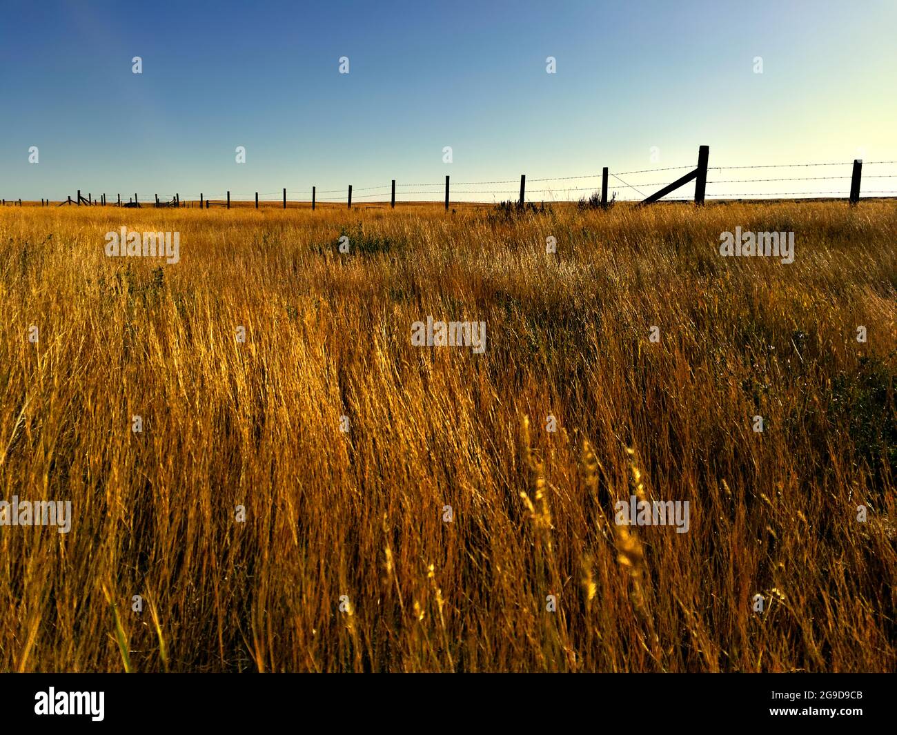 Canada prairie horizon hi-res stock photography and images - Alamy