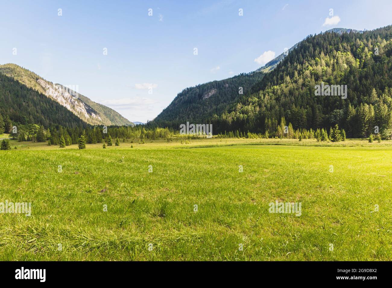 Wiese acker hi-res stock photography and images - Alamy