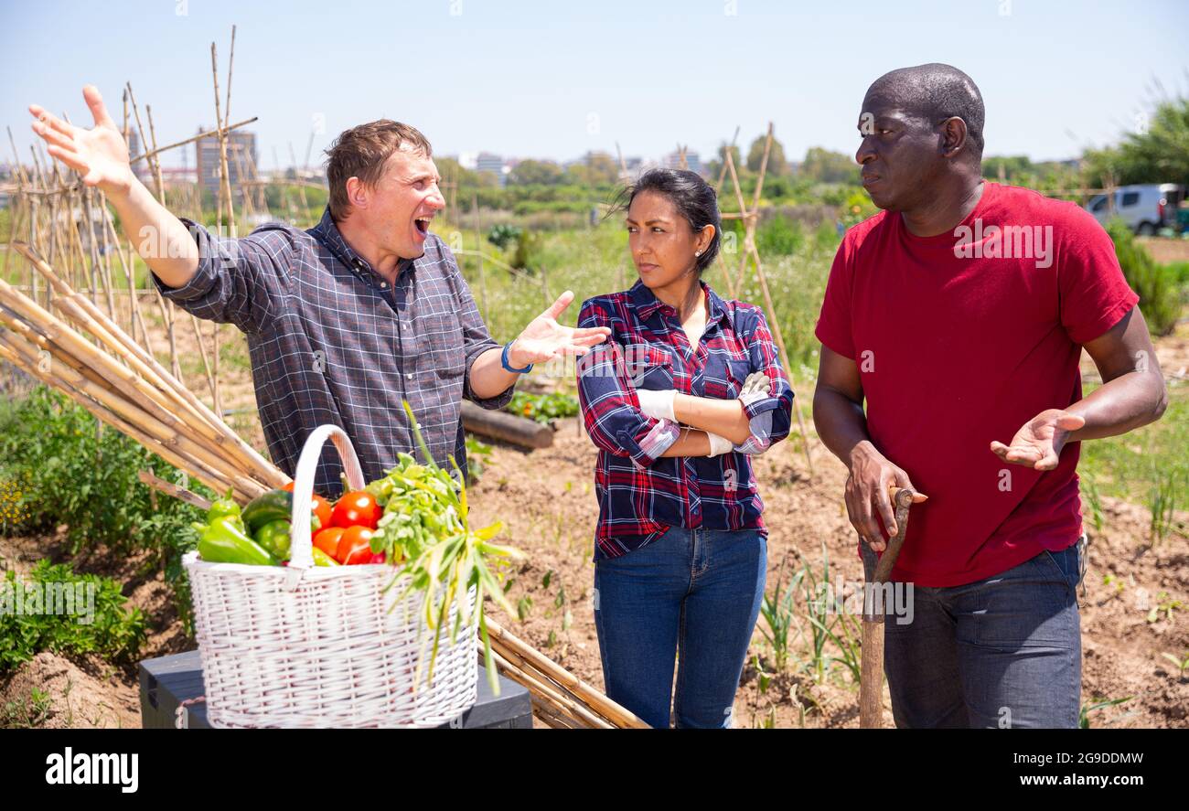 Farm neighbors quarrel over farm backyard in day Stock Photo - Alamy