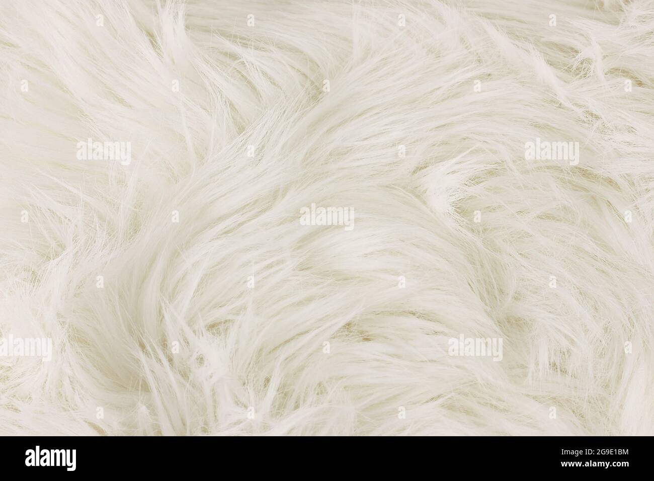 White fur texture, close-up.Useful as background Stock Photo - Alamy