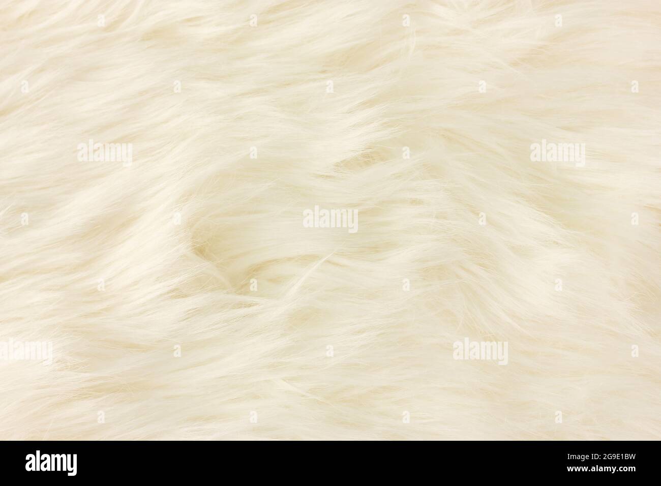 White fur texture, close-up.Useful as background Stock Photo - Alamy