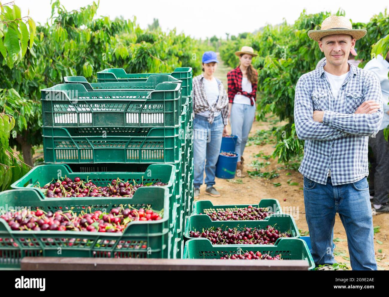Farmer berry box posing in hi-res stock photography and images - Alamy