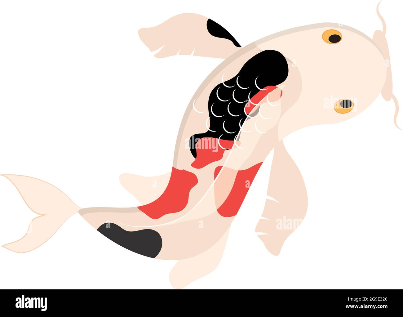 cute koi fish Stock Vector Image & Art - Alamy
