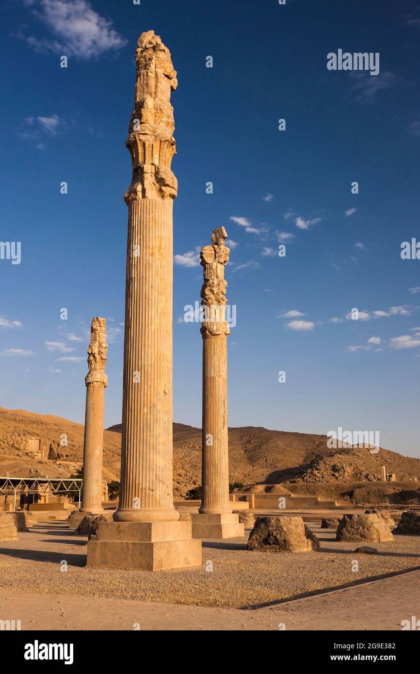 Persepolis in evening, massive stone pillars of Apadana ruins, capital ...