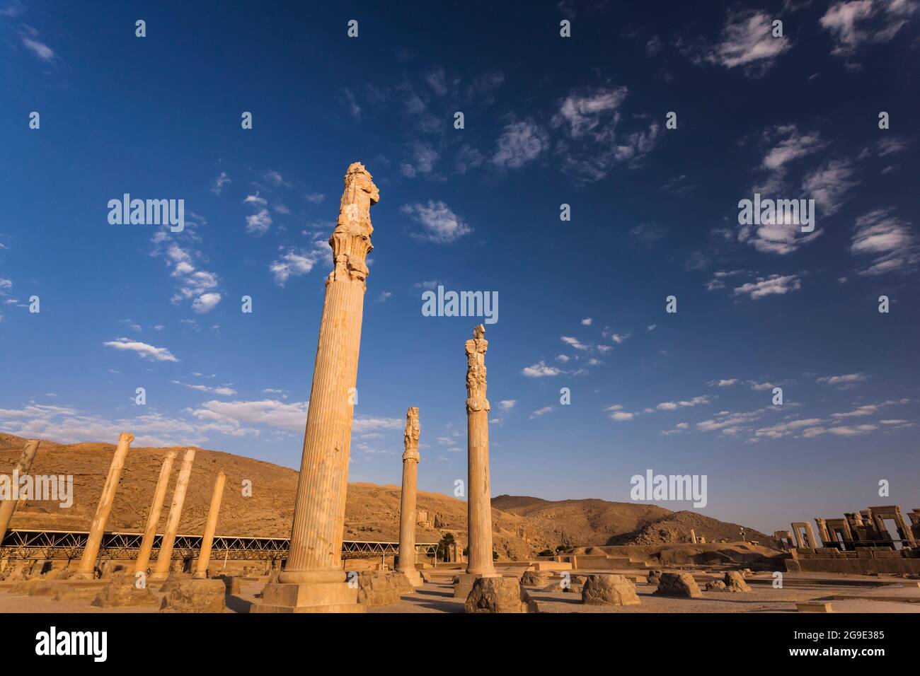 Persepolis in evening, massive stone pillars of Apadana ruins, capital ...