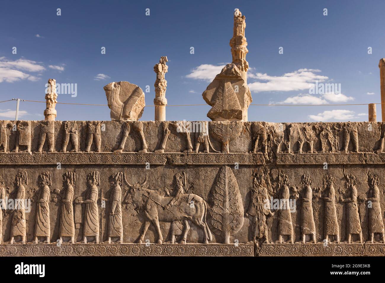 Persepolis, relief of Apadana ruins, capital of Achaemenid empire ...