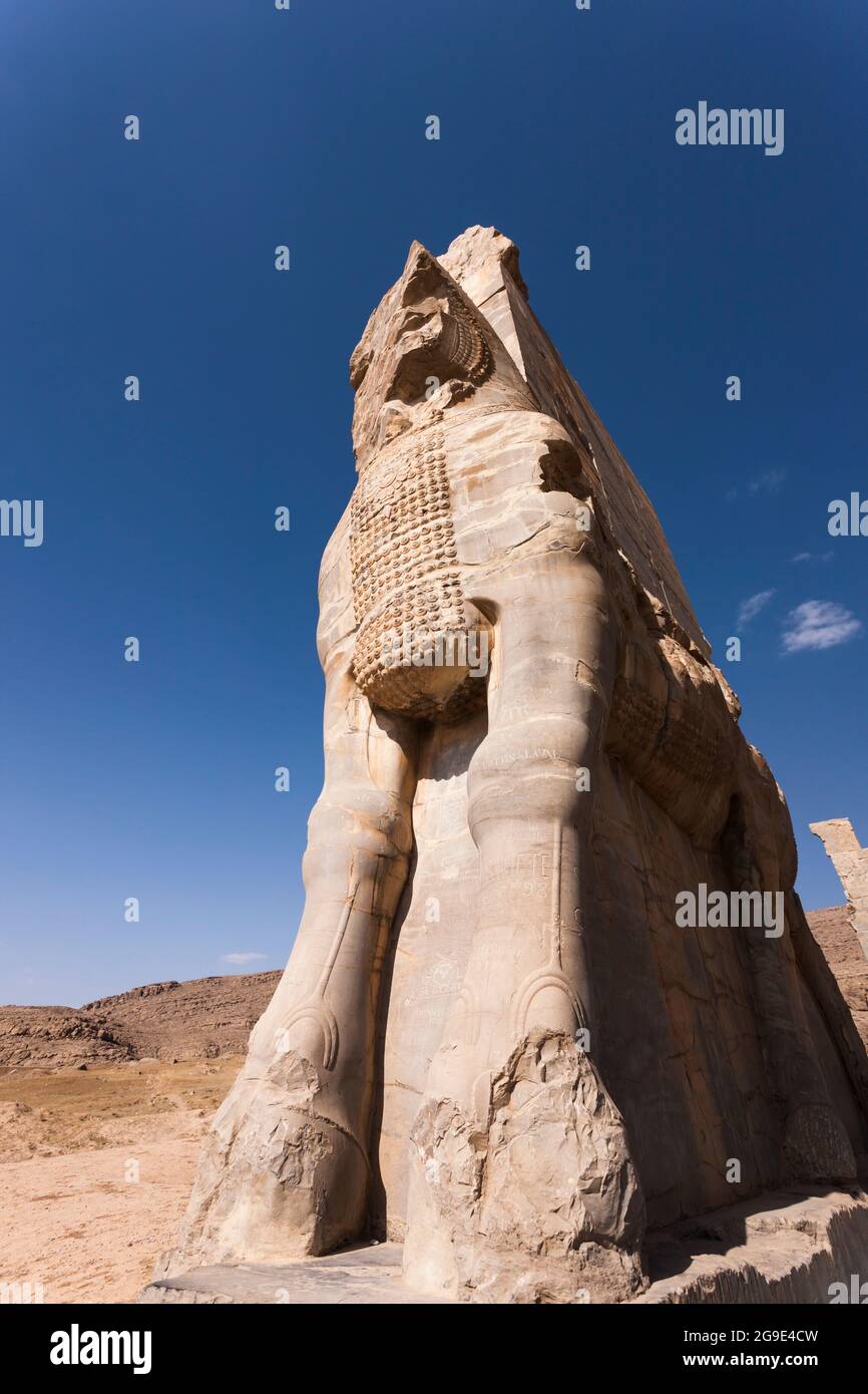 Bull capital persepolis iran hi-res stock photography and images - Alamy