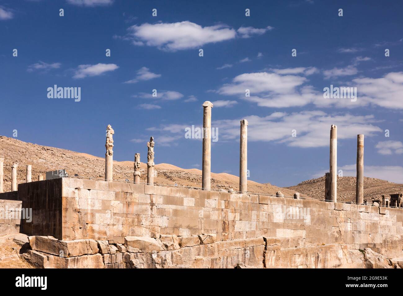 Persepolis, platform of capital complex, Apadana columns, ceremonial ...