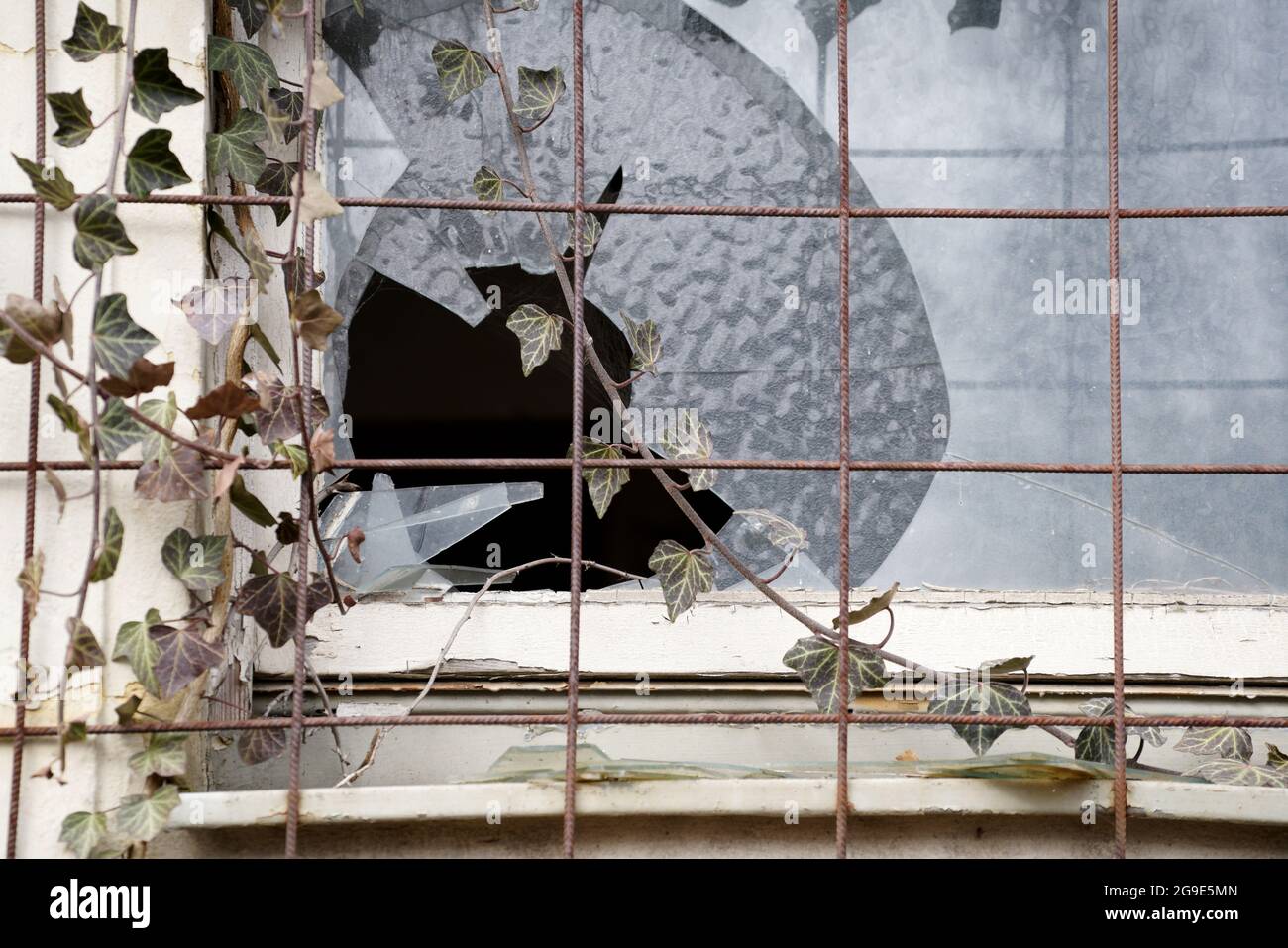Closeup shot of a broken glass window with wire mesh grills foreground ...