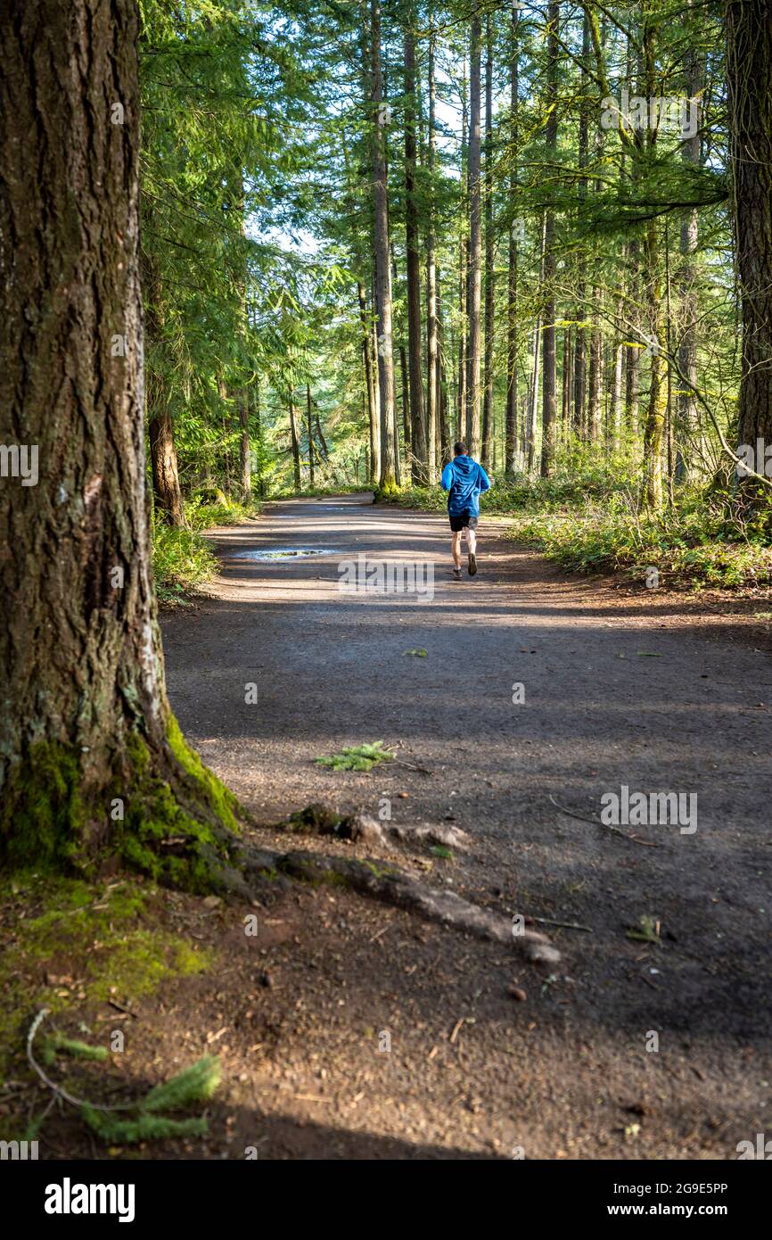 Man in activewear exercise runs along a winding wild deciduous forest ...