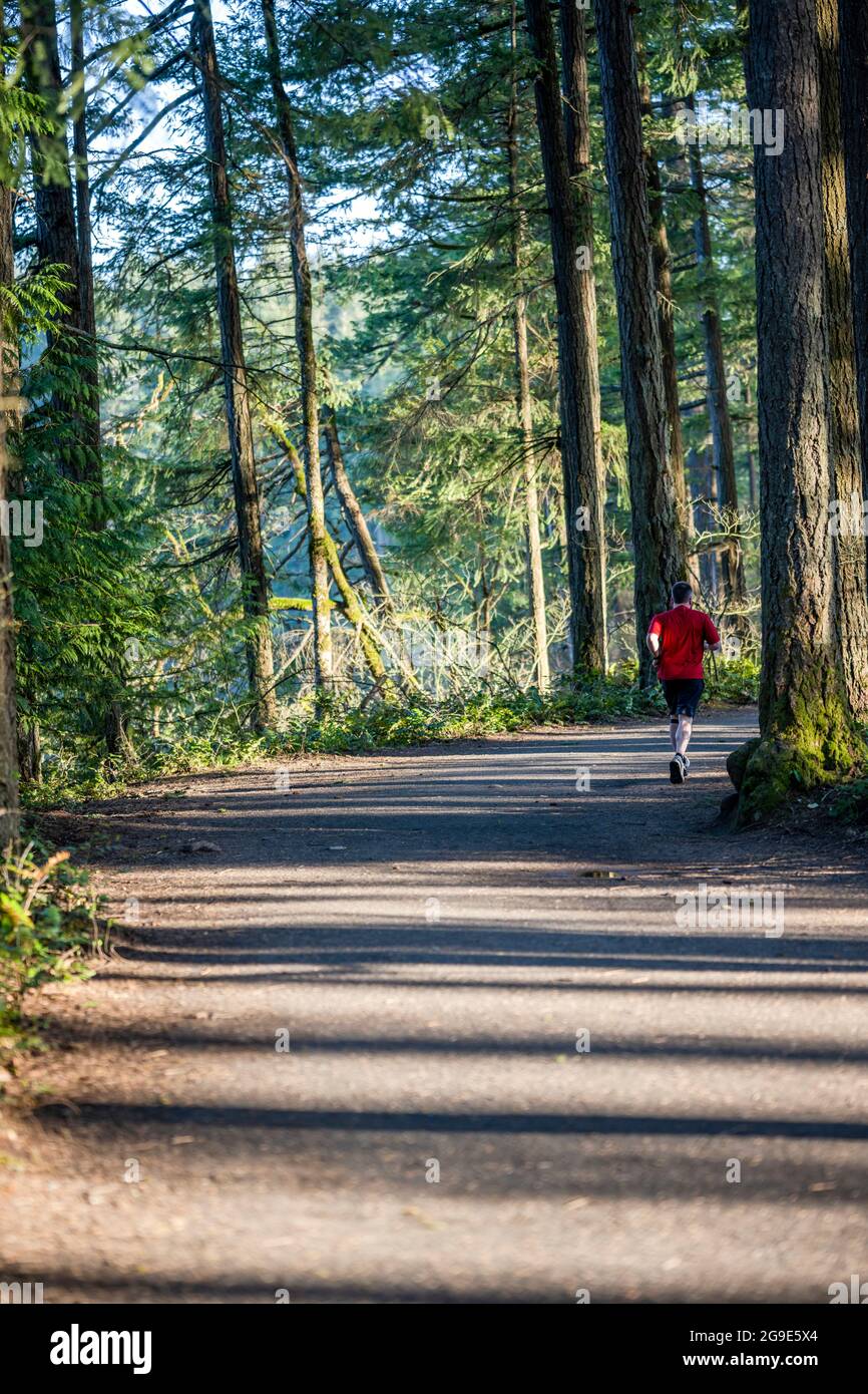 Man in activewear exercise runs along a winding wild deciduous forest ...