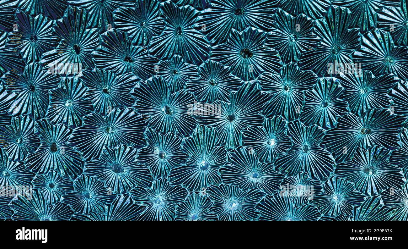Blue look hi-res stock photography and images - Alamy