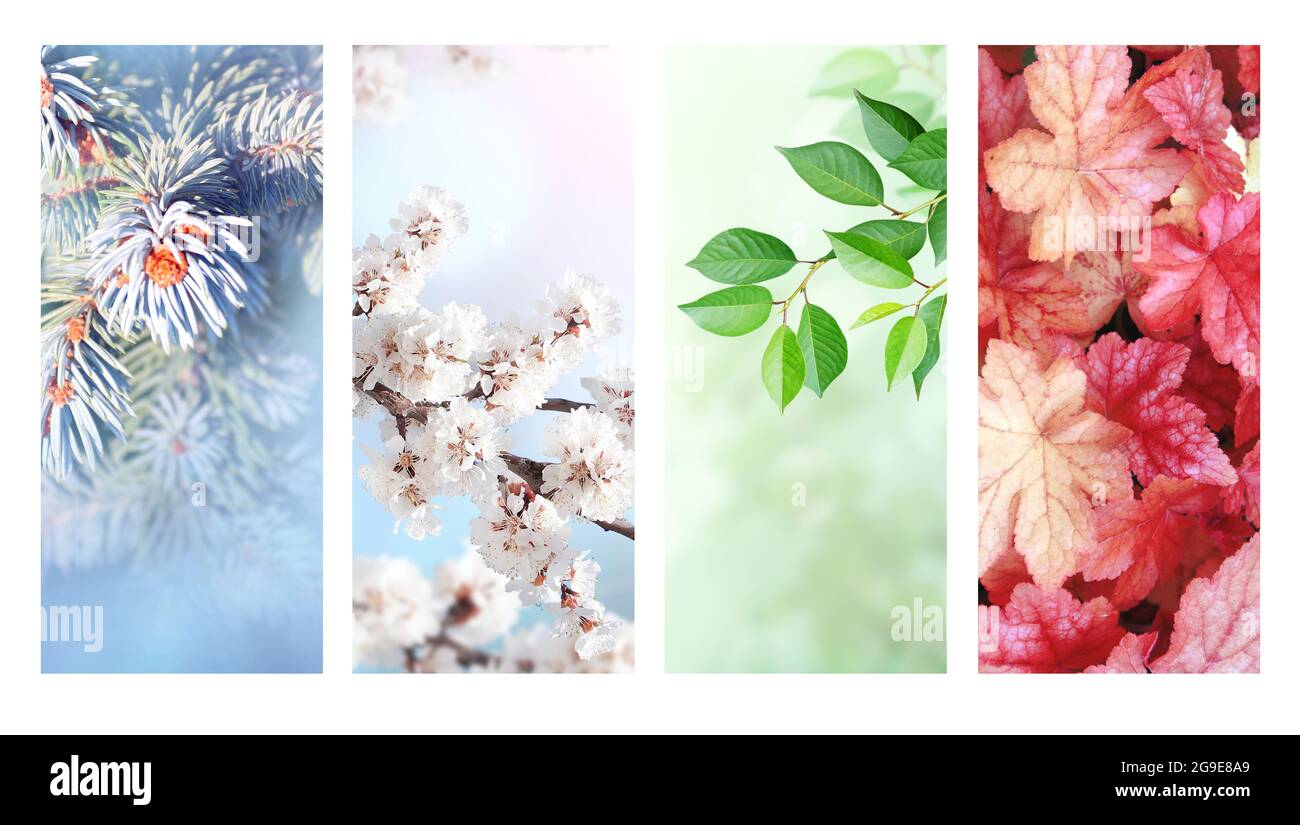 Four seasons of year. Set of vertical nature banners with winter ...