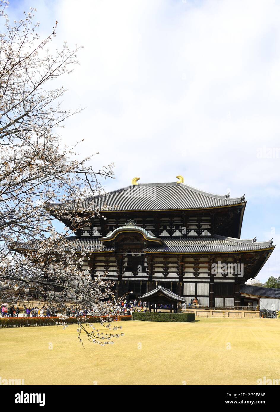 Todaiji Temple (Great Eastern Temple), one of the powerful Seven Great ...